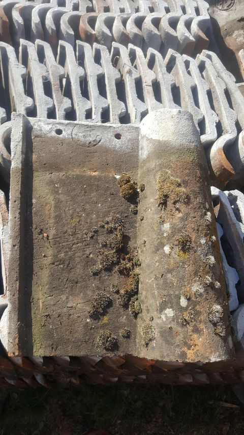 800+ clay single roman tiles | Enviromate